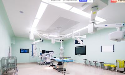 China 220V/50Hz Laminar Flow Ceiling System with 0.45 m/s Air Velocity and 99.99% Filtration Efficiency for sale