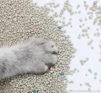 China Bentonite cat litter, Low Dust Bentonite Cat Litter, Round Cat Litter/Stripe Cat Litter/ Broken Fine Cat Litter for sale