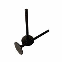China 3142h091 30 Degree Angle Inlet Valves for Perkins Engine Parts C6.6 C4.4 for sale