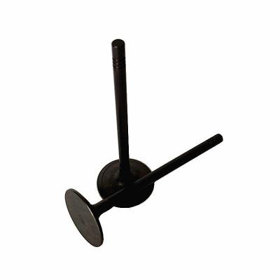 China 3142h091 30 Degree Angle Inlet Valves for Perkins Engine Parts C6.6 C4.4 for sale