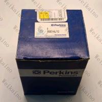 China 8se14L/12 16se14/12 Engine Coolant Pipe Perkins Diesel Engine Parts For 4000 Series for sale
