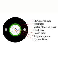 China Black PE Outer Sheath LSZH 8/12/24 Core Armoured Ourdoor Fiber Optic Cable (GYXTW) for sale