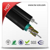 China OEM 8 12 24 Core FIG8 Self Supporting Aerial Figure 8 Fiber Optic Cable(GYTC8S) for sale