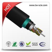 China GYTA53 24 Core Double Armoured Double Sheath anti-UV PE jacket Fiber Optic Cable For Duct Burial for sale