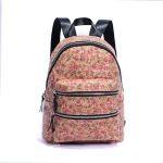 China ECO-friendly, biodegradable, Cruelty-free cork backpack for sale