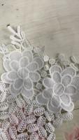 China Large Lace Collar Accessory Elegant Applique and Trim for Fashionable Dresses and Accessories for sale