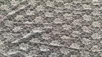 China Nylon-Spandex Lace Fabric (90% Nylon/10% Spandex) - Elastic Openwork Mesh Textile for sale