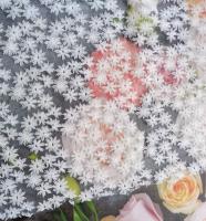 China Wholesale Small Mesh Embroidery Flower Tulle Fabric Lace Category for Ladies' Garments for sale