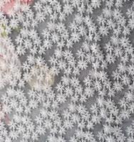 China Wholesale Small Mesh Embroidery Flower Tulle Fabric Lace Category for Ladies' Garments for sale