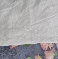 China Chicken Embroidery Cotton Lace Fabric for Ladies' Dress Elegant Embroidered Lace Material for sale