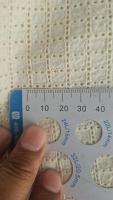 China 100% Cotton Perforated Embroidery Fabric Full Width High Density Embroidered Lace Premium Lace Material for sale