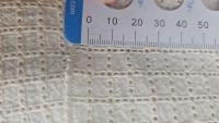China 100% Cotton Perforated Embroidery Fabric Full Width High Density Embroidered Lace Premium Lace Material for sale