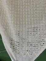 China 100% Cotton Perforated Embroidery Fabric Full Width High Density Embroidered Lace Premium Lace Material for sale
