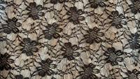 China 2025 New Nylon-Spandex Lace Jacquard Fabric Fashion Clothing and Lace Accessories for sale
