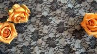 China 2025 New Nylon-Spandex Lace Jacquard Fabric Fashion Clothing and Lace Accessories for sale