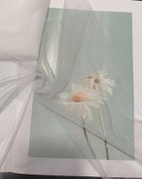 China White 100% Nylon Soft SOILD Mesh Fabric 150cm Eco-Friendly for Garment Shoes Children's Clothing Wedding Dresses Home Decor for sale