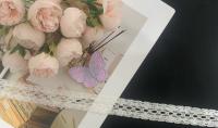 China Fine Knitted Lace Trim With Central Eyelet Design, Perfect For Adding Delicate Charm To Any Outfit for sale