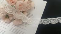 China 2.5cm Exquisite French Wave Pattern Eco-Friendly Nylon Lace Trim With Hollow-out Design For Garment Decoration for sale
