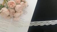 China 2.5cm Exquisite French Wave Pattern Eco-Friendly Nylon Lace Trim With Hollow-out Design For Garment Decoration for sale