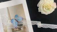 China 2.8cm Stretch Nylon Lace with Continuous Hollow Scallop Pattern, Soft Elastic Fabric for Apparel Trimming. for sale