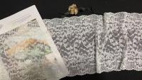 China A1Z014# Elastic Floral Stretch Lace Trim, Nylon Spandex Leaf Pattern Lace Band for Lingerie Dress for sale