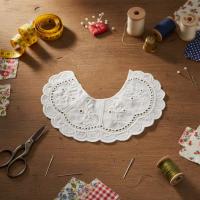 China Cotton Embroidery Detachable Peter Pan Collar Vintage Floral Eyelet Lace Fake Collar For Women Dress Blouse Decor for sale