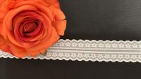 China 3cm Width Nylon Spandex Floral Lace Trim with Scalloped Edge for Lingerie Decoration for sale