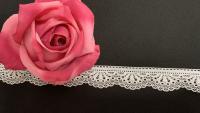 China 2.8cm Lightweight Hollow Polyamide Lace Trim with Single Scalloped Edge for Lingerie for sale