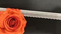 China 2.5cm Nylon Spandex Elastic Lace Trim with Single Scalloped Wave Edge for Lingerie and Dress Decoration for sale