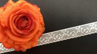 China 2.5cm Scalloped Floral Mesh Lace Trim Skin Friendly Lightweight for Dress and Underwear Decoration for sale