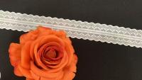 China 3cm Nylon Spandex Elastic Lace Trim with Double Scalloped Edge and Symmetric Geometric Pattern for Lingerie and Garment Decoration for sale