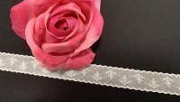 China 2.7cm Width Breathable Nylon Spandex Elastic Lace Trim with Continuous Leaf Hollow Pattern for Lingerie and Dress Decoration for sale