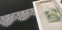 China Eyelash Lace Trim 9.5cm Width 100% Nylon with Hollow Floral Pattern for Lingerie and Wedding Dresses for sale