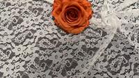 China Soft Breathable Floral Lace Fabric with Intricate Flower Pattern Lightweight for Dresses and Lingerie for sale