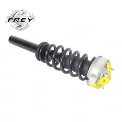 China TUV 31316781919 Auto Parts Shock Absorber For BMW E70 X5 2006 for sale