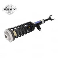 China 5 Series F18 Front Shock Absorber Assembly Practical 31316854579 for sale