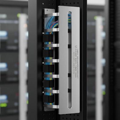 China Cable Management Rack Accessories Size For U H300 W120 T4.0mm Width 7mm Ideal Solution For Organizing Server Cabinets And Data Centers for sale
