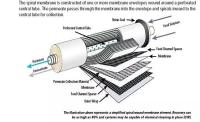 China Dissolving Salt Reverse Osmosis RO Water System 500L/H - 2000L/H for sale