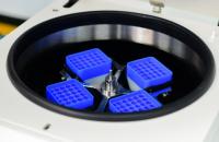 China Biosafety Automatic Decapitation Centrifuge with ±10r/min Speed Accuracy and 6000r/min Max Speed for sale