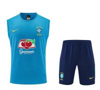 China Brazil Training Vest Blue Quick Drying Breathable 26-27 New Season Club Football for sale