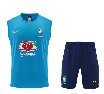 China Brazil Training Vest Blue Quick Drying Breathable 26-27 New Season Club Football for sale