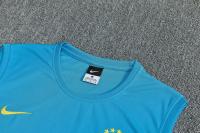 China Brazil Training Vest Blue Quick Drying Breathable 26-27 New Season Club Football for sale