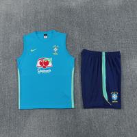 China Brazil Training Vest Blue Quick Drying Breathable 26-27 New Season Club Football for sale