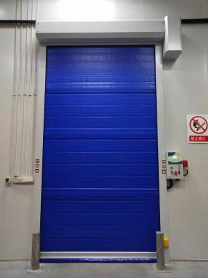 China Quick Action Thermal Efficient Industrial Freezer Door Customized for sale