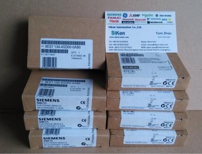 China SIEMENS 6ES7134-4GD00-0AB0 6ES7 134-4GD00-0AB0 Electronic Module for sale