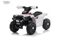 China Kids Electric Beach Buggy 6V4AH with Reverse Gear and Electric Brakes for Ages 4-8 for sale