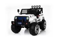 China 12V 4x4 Ride On Car with 4 Motors 45W Safety Belt 2.6-4.8 KM/H for Kids for sale