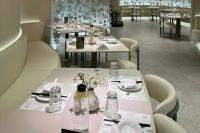 China Modern Design Restaurant Chair with Metal Legs for Commercial Grade Use in Cafes and Hotels for sale