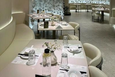 China Modern Design Restaurant Chair with Metal Legs for Commercial Grade Use in Cafes and Hotels for sale