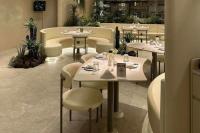 China Modern Design Restaurant Chair with Metal Legs for Commercial Grade Use in Cafes and Hotels for sale